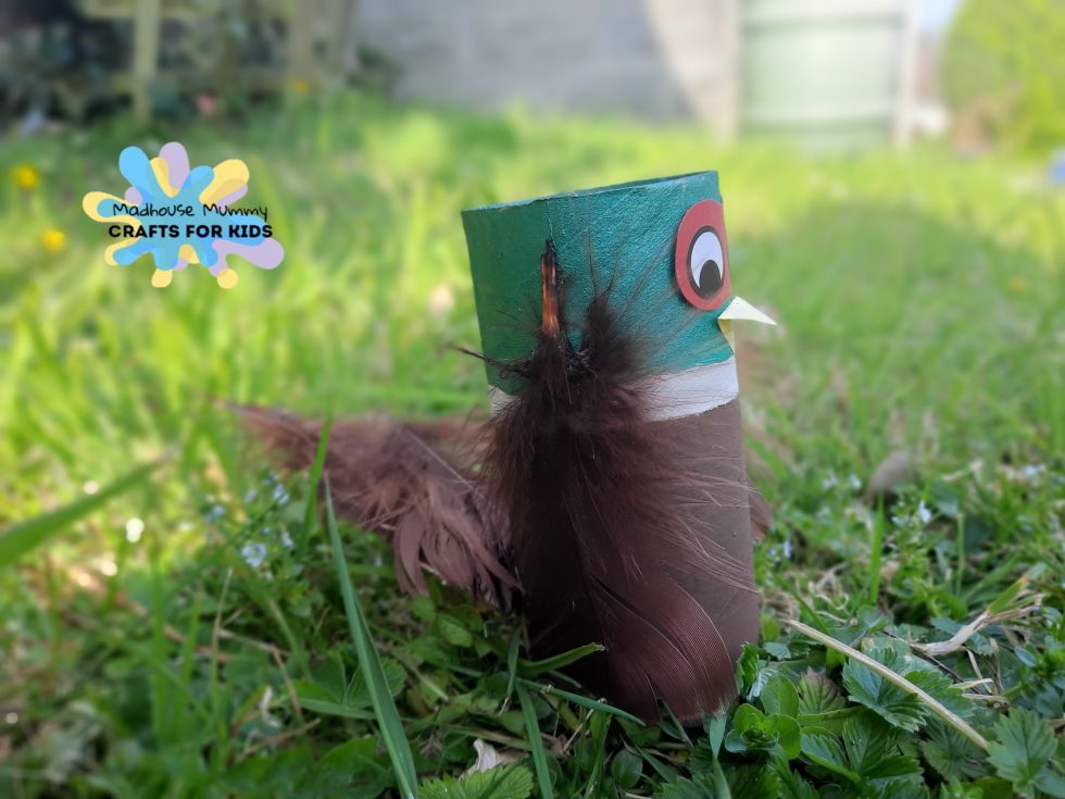 Toilet roll pheasant craft - This Crafty Family - crafts for kids.