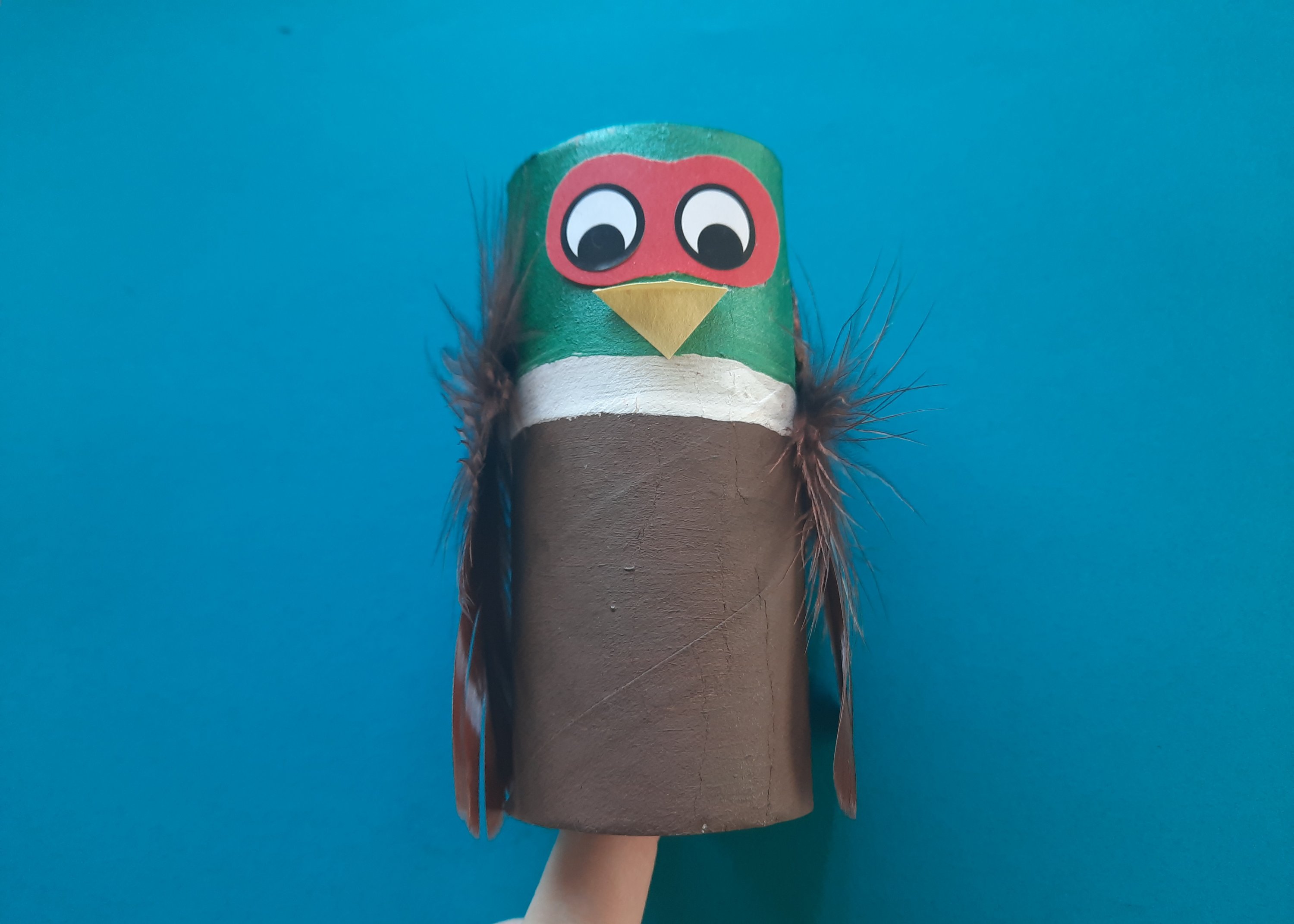 Toilet roll pheasant craft - This Crafty Family - crafts for kids.
