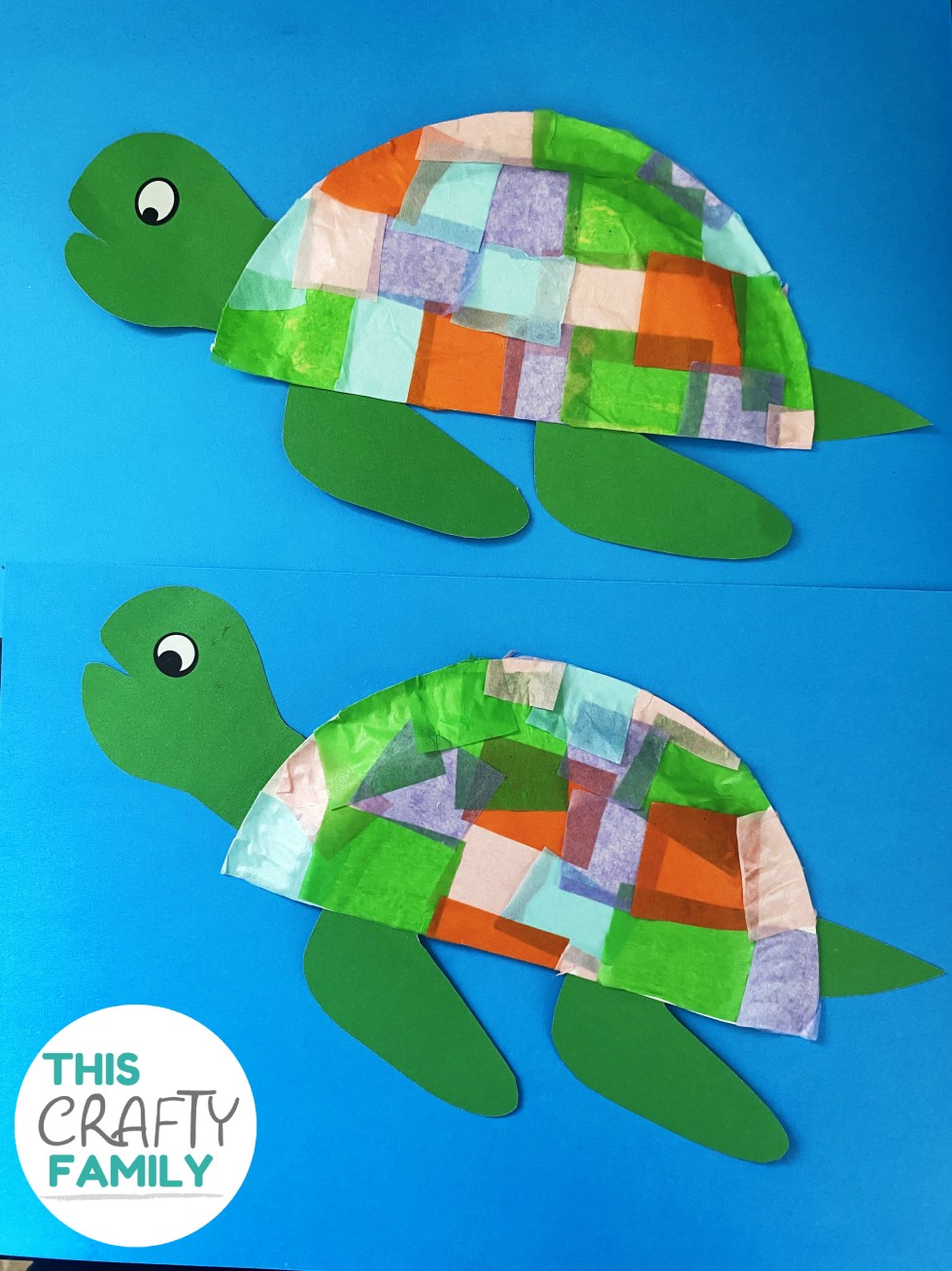 Paper Plate turtle - This Crafty Family